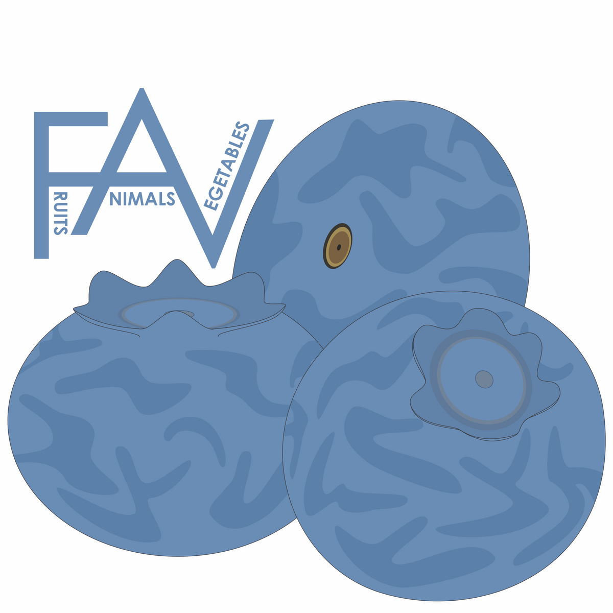 Blueberry – Fruits Animals Vegetables